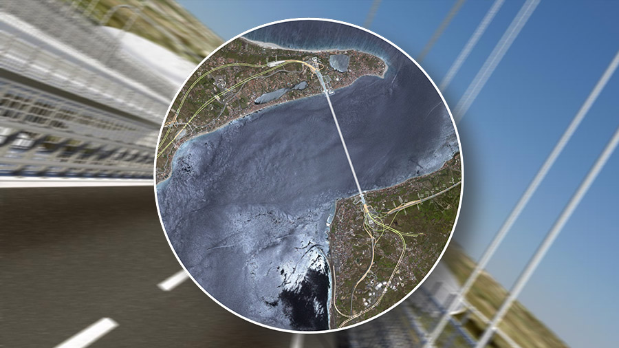 STRAIT OF MESSINA BRIDGE: CEO CIUCCI REPLIES TO WWF - Stretto di ...